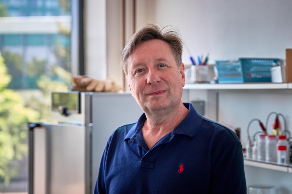 ERA Chairs project led by Mark Rümmeli will bring groundbreaking ...